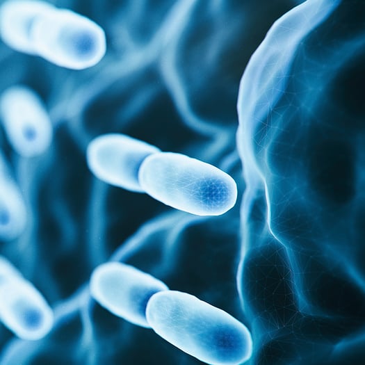 Microbial CDMO Services