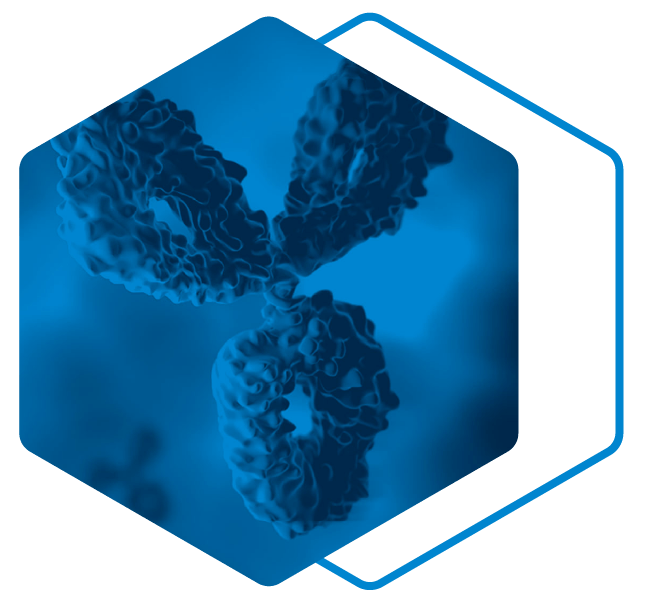 Cell Line Development Services - KBI Biopharma