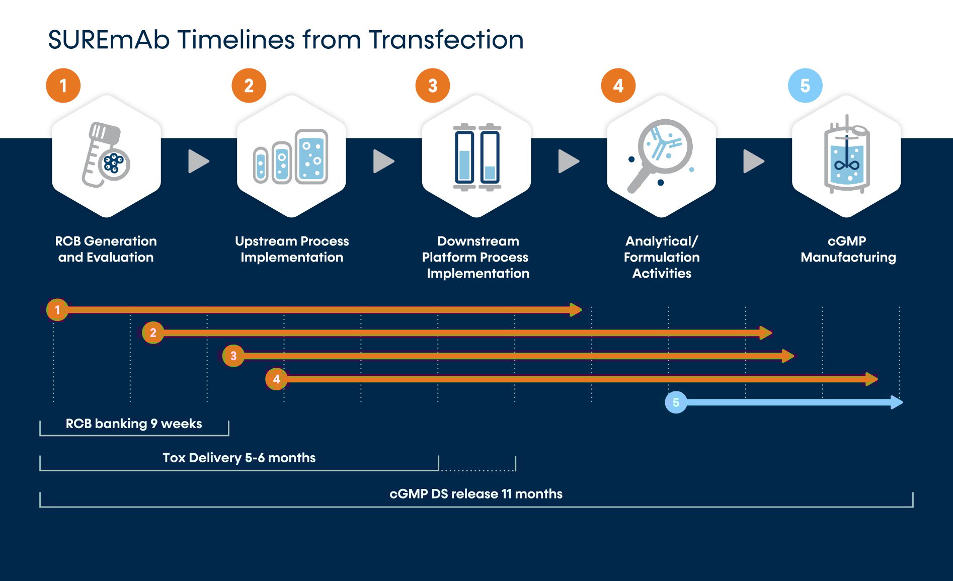 KBI Biopharma | SUREmAb™ For Rapid Development