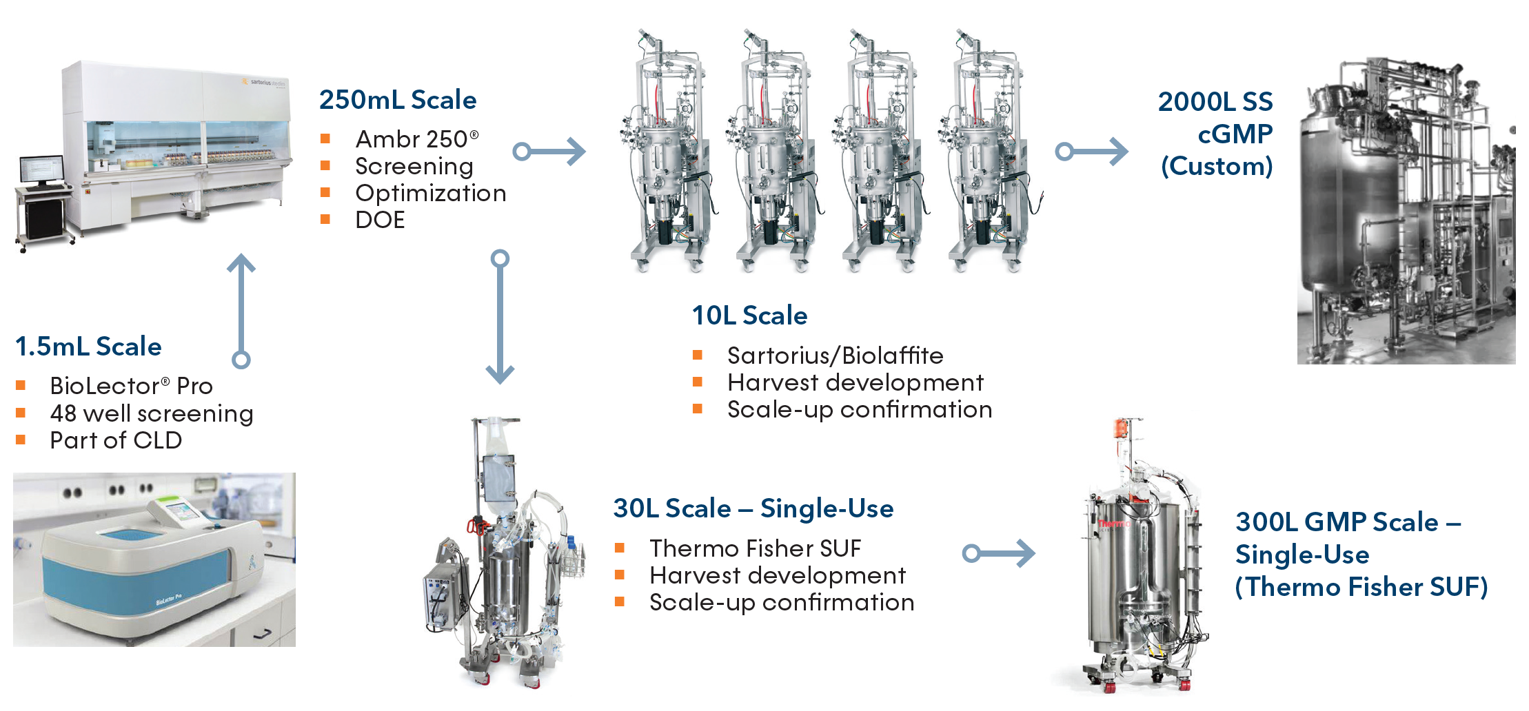Microbial CDMO Services